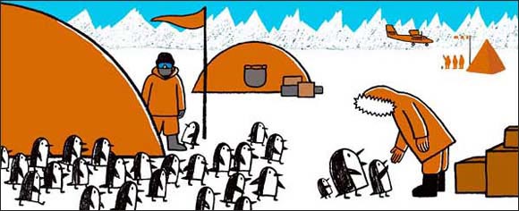 A Penguin Story -- an adorable story about an adventurous penguin