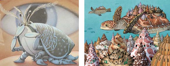 Flotsam﻿ by David Wiesner